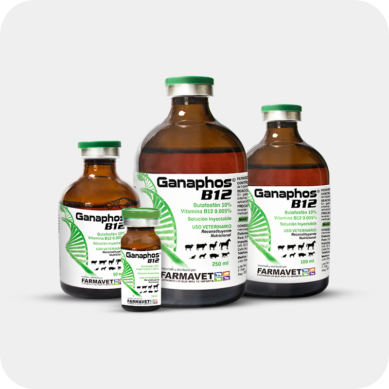 Farmavet Labs – – Cuidamos lo que más te importa